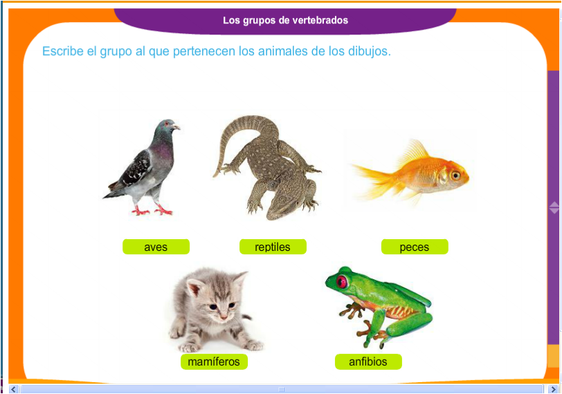 Los Animales Vertebrados
